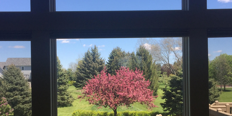 12 Warning Signs You Need New Windows [Homeowners Guide]